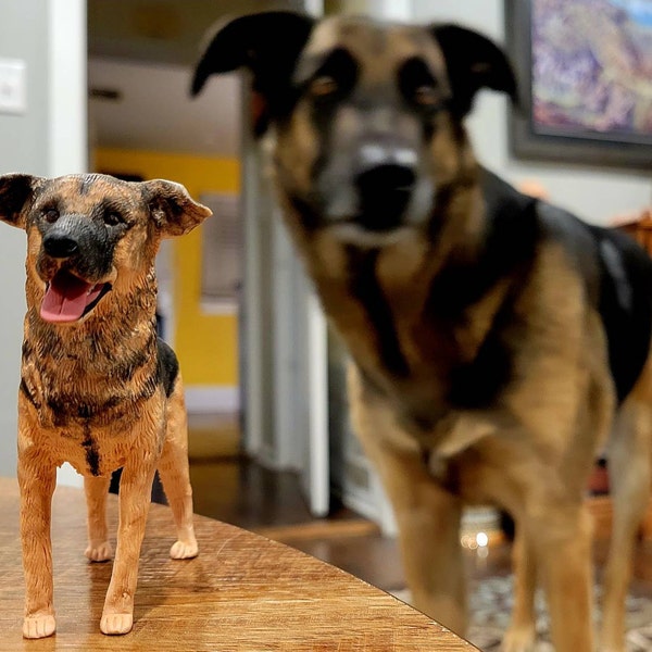 Personalized Custom Pet Dog Wedding Cake Topper, Pet Birthday Cake ...