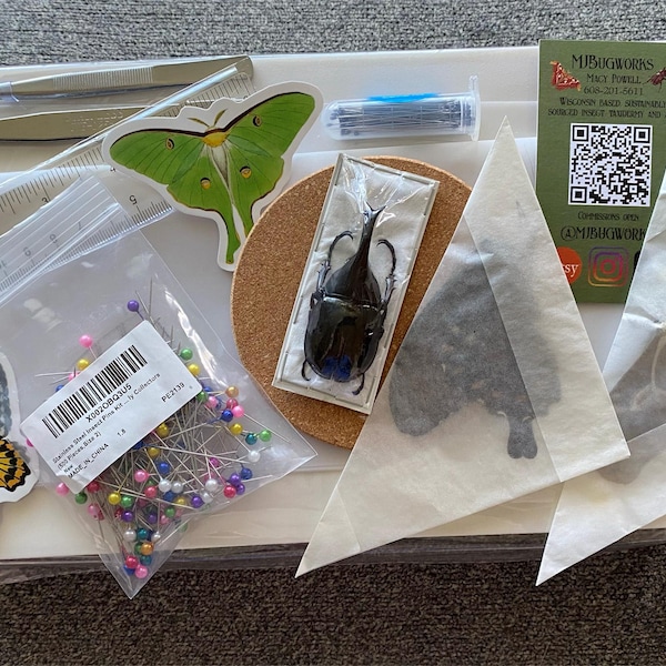 MJB Starter Insect Pinning Kit | Curated Kit for Beginners With ...