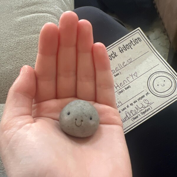 Adopt a Mini Rock Desk Pet - Etsy