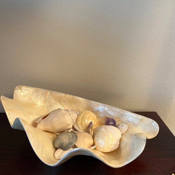 Capiz Shell Bowl-bowl Made Out of Shell-beach Wedding Decor-sea Shells ...