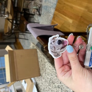 Baby Introduction Stickers Hello My Name Is...stickers - Etsy