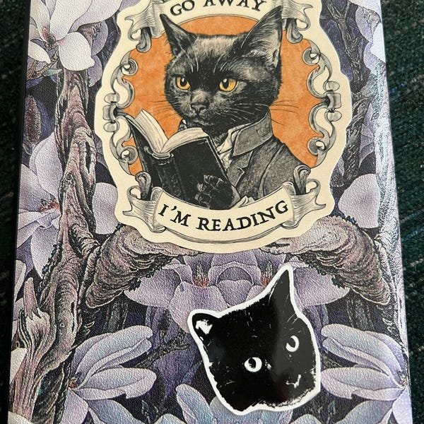 Reading Cat Sticker, Kindle Sticker, Book Cat Sticker, Black Cat ...