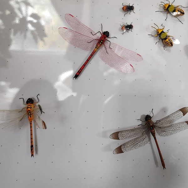 Cicada,4 Colors/1set, Bug Magnet, Handmade Clay Magnet Insect Figurine ...