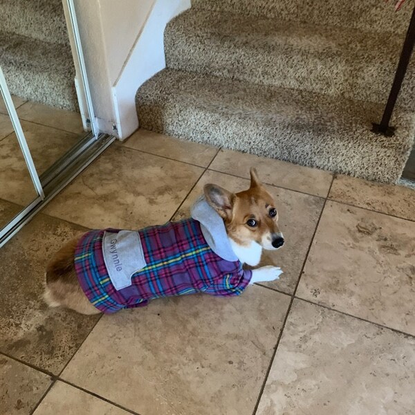 Custom Corgi Hoodies - Etsy