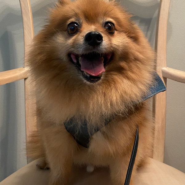 BECHIVA Soft Real Leather Poop Bag Holder. Dog Bag Dispenser. Top ...