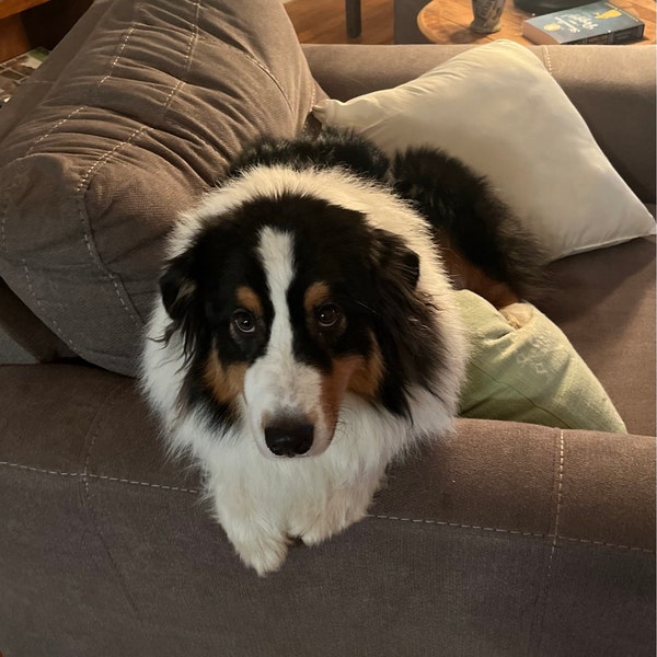 Personalized Boat Compass Sweatshirt, Custom Compass Shirt for Men ...