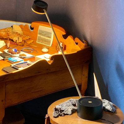 Tubicen Touch Desk Lamp, Eye-caring Flexible Table Lamp, Focus on ...