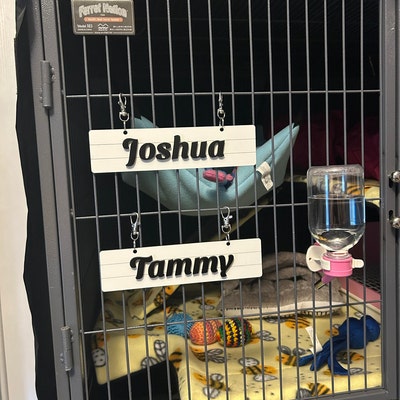 Personalized Crate Tag, Pet Crate Name Sign, Hello My Name is Hanging ...