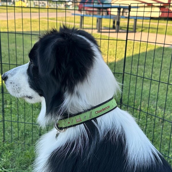 AGILITY Collar the Blues - Etsy