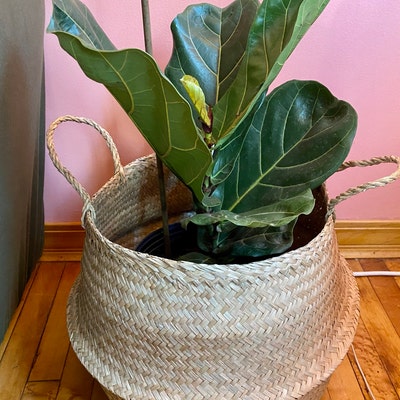 Wicker Natural Woven Storage Basket Seagrass Decorative Basket for ...