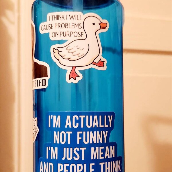 The Math is Not Mathing Sticker | Waterbottle Sticker | Laptop Sticker ...