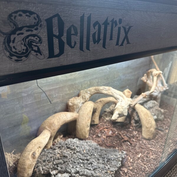 Ball Python Cut Files for Cricut and Silhouette .svg .png .jpg .dxf - Etsy