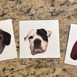 Custom Beer Can Stickers - Upload Your Own Design, Pop Can Wraps for ...