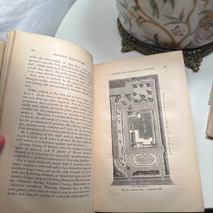 Vintage Wild Flower Botanical Flowers Book 1892 Beautiful Wild Flowers ...