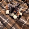 Crochet Pattern for Winter Woolfie, Realistic Eurasian Wolf Amigurumi - Instant Download PDF ...