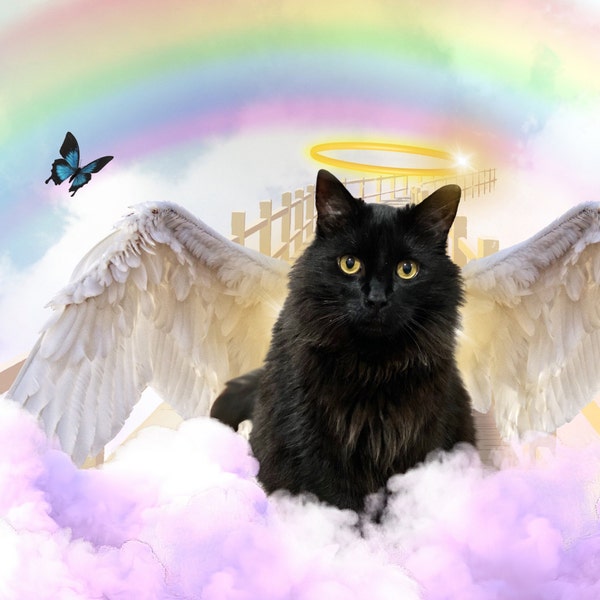 Custom Rainbow Bridge Pet Memorial Photo - Etsy