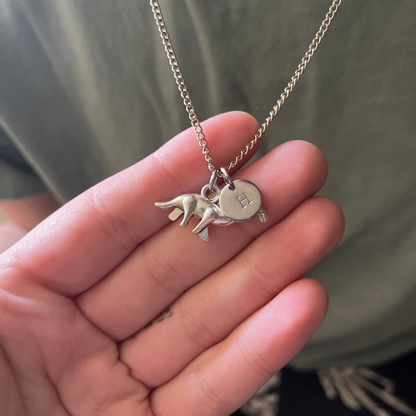 Silver Dinosaur Necklace Paleontologist Taphonomy Taphonomists ...