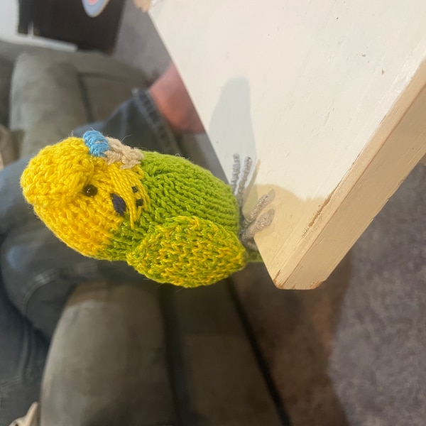 Jarvis Cockatiel Knit Kit All You Need to Knit a Cute Cockatiel Parrot ...