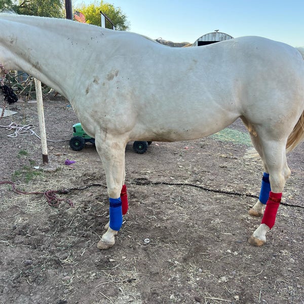 Sheep Leg Wraps, Goat Leg Wraps, Mini Horse Leg Wraps, Serape Cheetah ...