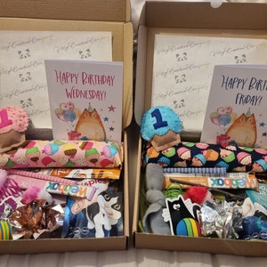 Personalised Cat Birthday Gift Box, Gotcha Day Presents, Pet ...