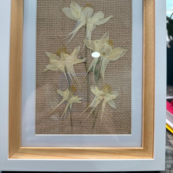 Pressed Flower Art: Red & Yellow Mums, Gold Leaf Frame (11x9 Inch) - Etsy