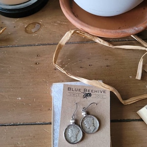 Seaweed, Horned Wrack, Fucus Ceranoides, Brown Algae, Beach Ocean ...