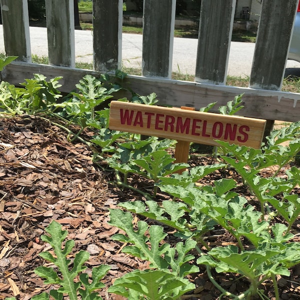 WATERMELONS Garden Sign, Cedar Wood: Hand Routed Sign, Plant Marker ...