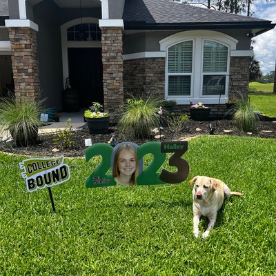 Basketball Sport Cut-out Yard Sign 22x22 With H-stake - Etsy