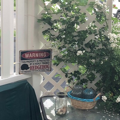 Tin Metal Sign Property Protected by Hedgehog 8x12/12x18 Indoor/outdoor ...
