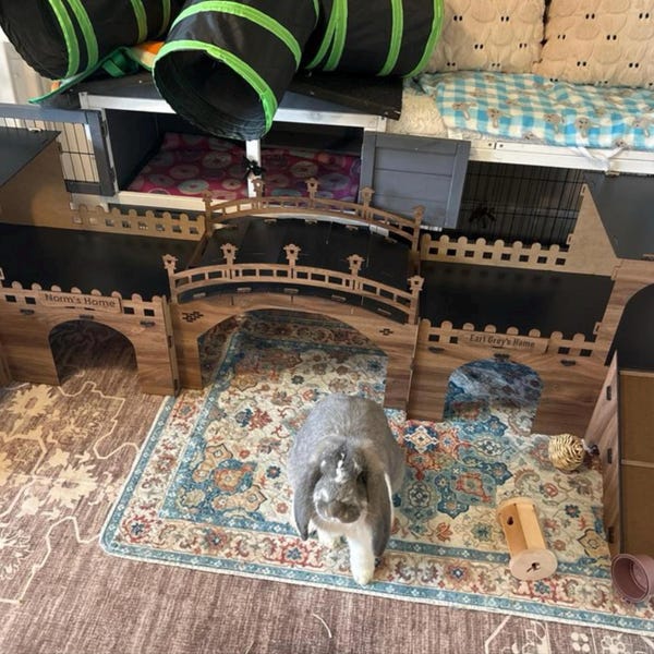 Elegant Bunny Castle With Twin Towers: Two-story White Pink Palace ...