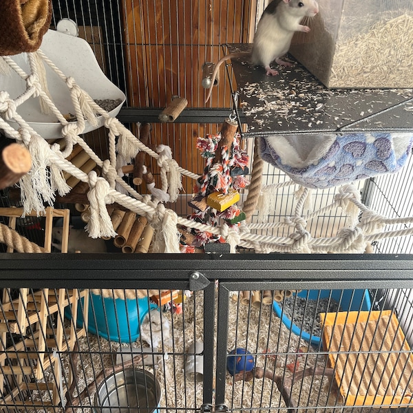 Pet Cargo Net for Cage Pet Rat Toy Accessories, Climbing Net, Fall ...