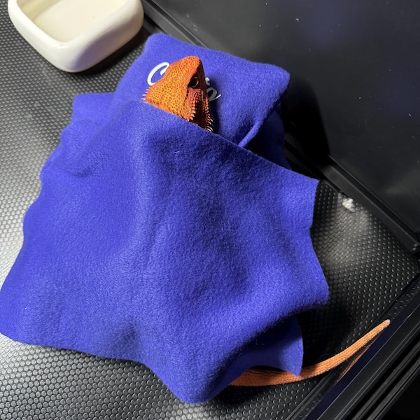 Bearded Dragon Candy Corn Costume Sweater, Halloween Lizard Sweater ...