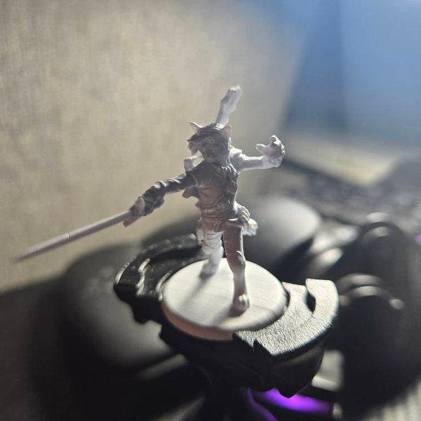 Custom 3D Printed RPG Miniatures: High-detail Personalized Figurines ...