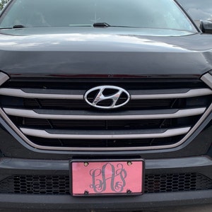 Custom Mirror pink License Plate, Car Tag, Personalized Car Tag, Custom ...