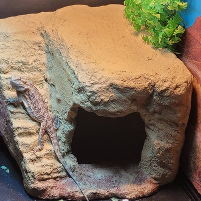 Custom Large Reptile Bearded Dragon Basking Platform, MADE TO ORDER ...