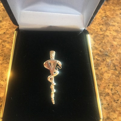 14K Gold Rod of Asclepius Lapel Pin - Etsy