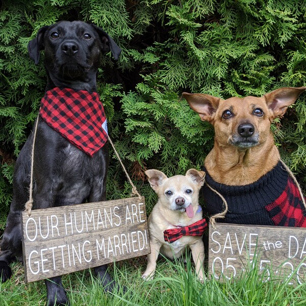 Our Humans Are Getting Married, Pet Save the Date Sign, Dog Photo Prop ...
