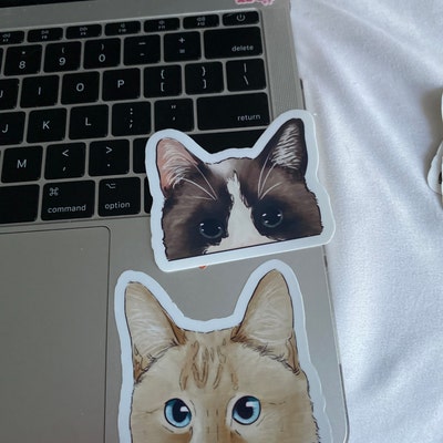 Peeking Cat Sticker Black and White Cat Stickers Tuxedo Cat Good ...