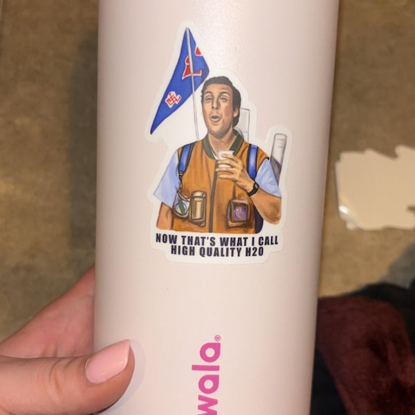 Bobby Boucher H2o Waterboy Vinyl Sticker or Magnet (matte Finish) - Etsy