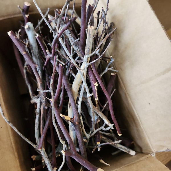 Small Box Full of Mini Manzanita Twigs, Tiny Trees for Crafting - Etsy