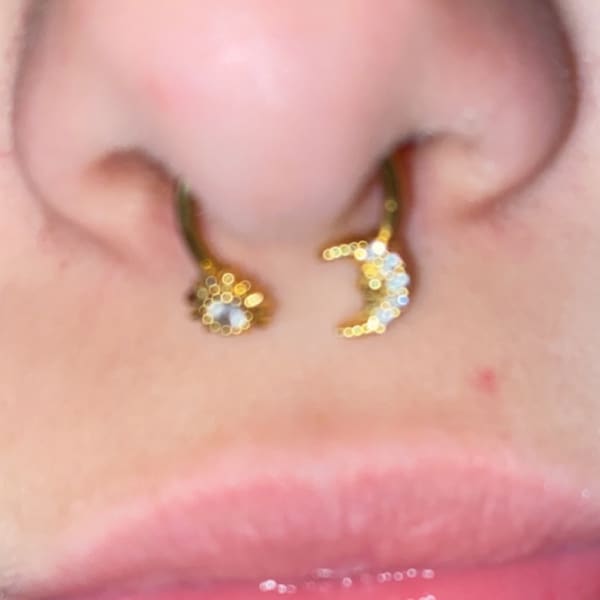 16G Sun & Star Septum Ring/daith Jewelry/cartilage Earring/helix Hoop ...