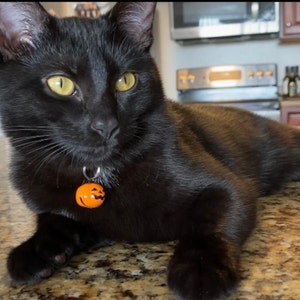 Halloween Cat Bell Cute Pumpkin pumpkin Bell - Etsy