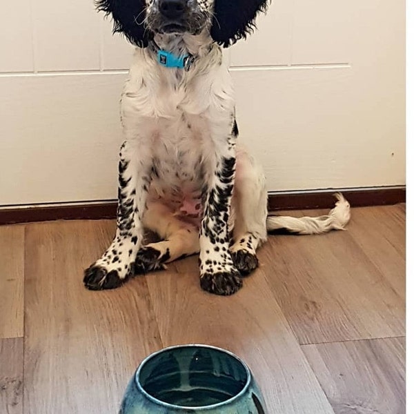 Personalised Spaniel Bowl Handmade Ceramic Water Food Bowl New Pet ...