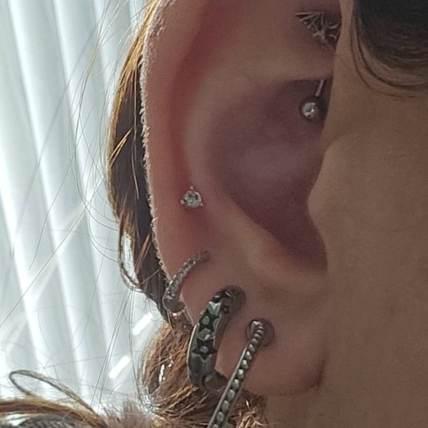 16G Little Vintage Bug Piercing #rook, Curved Barbell Cartilage ...