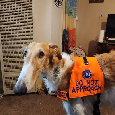 Vest select Your Size, STOP Do Not Approach, Light Weight Sd Style Vest ...