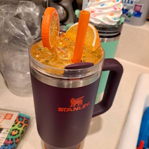 Cheese Puffs 3D Fake Ice Lid Topper & Sublimation 30oz or 20oz Skinny ...