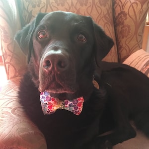 Small Dog Bow Tie Playing Card Pips Pet Collar Accessory - Etsy