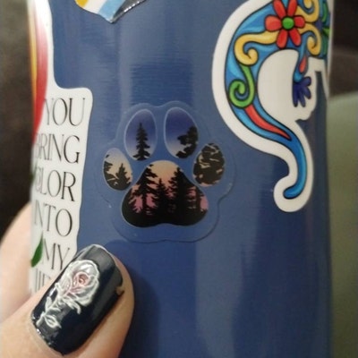 Mini 1 Sunset Paw Print Vinyl Sticker Clear Sticker Animal Lover Dog ...