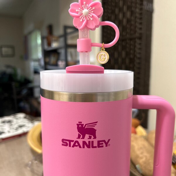 Personalized Puddle Jumper Cover for Toddler Swim Monogram Seersucker ...