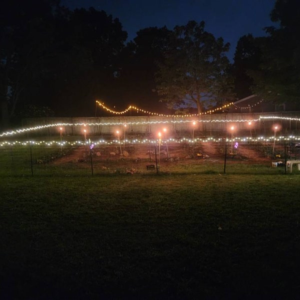 String Lights 20 LED, 6 Ft Long, Fairy Battery Operated Cork Lights ...